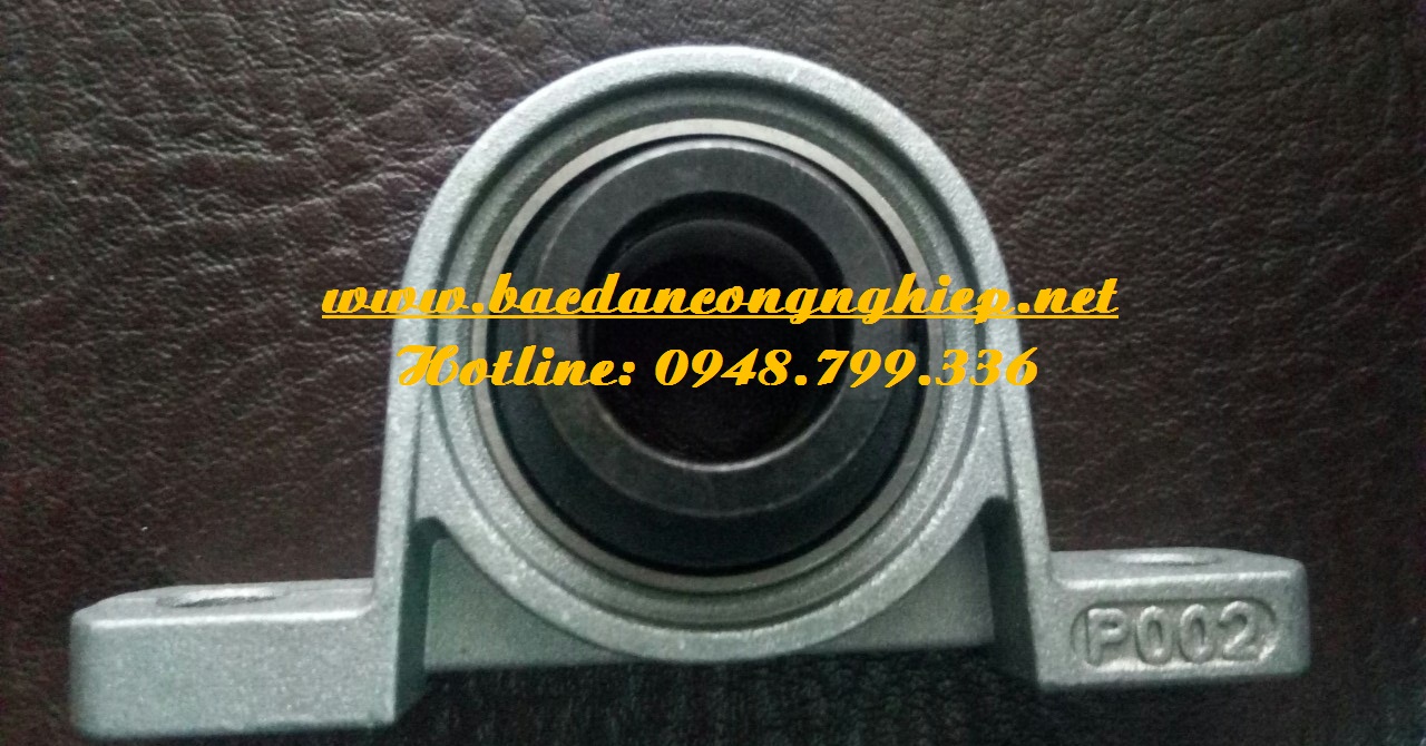 BẠC ĐẠN P002 - GỐI ĐỠ VÒNG BI ASAHI